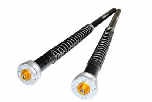 Andreani – EPM Performance